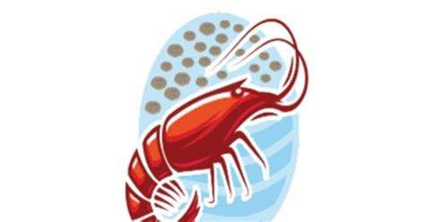 Snowflake Shrimp Food 16592w Us Hwy 63 Hayward Wi 54843 Aboutme