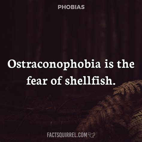 Ostraconophobia Is The Fear Of Shellfish Fact Squirrel