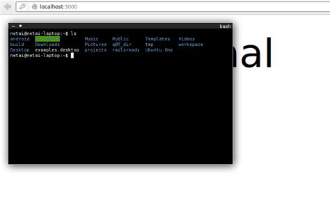 Embed Command Prompt Or Terminal In Website Using Nodejs ~ Netai Nayek