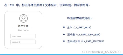 标签部件（ Lvlabel ）lv Label 自动 Csdn博客