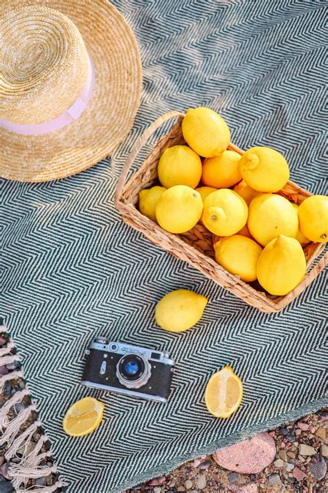 감귤류 건강한 생활 과일 바구니 깅엄 패턴 낮 노란색 녹색 담요 따뜻한 날씨 러스틱 레몬 레저 모자 모험 미니멀리스트 밀짚 모자 바구니