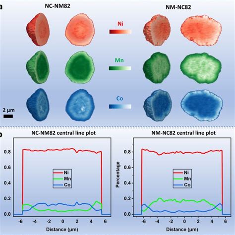 Nanoscale Structure Variation Within Concentration Gradient Cathodes Download Scientific