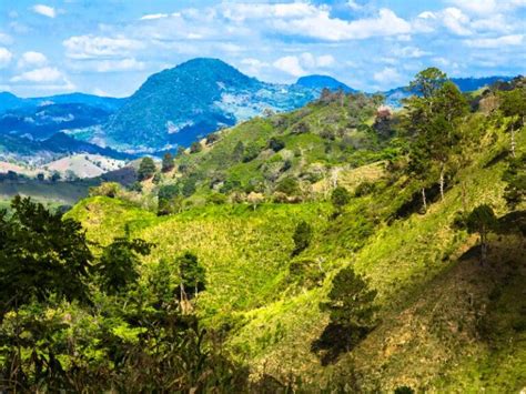 25 Interesting Facts About Honduras Land Of Ancient Maya