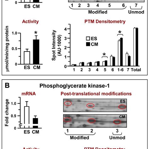Transcriptomic Proteomic And Enzymatic Restructuring Of The Middle Download Scientific Diagram