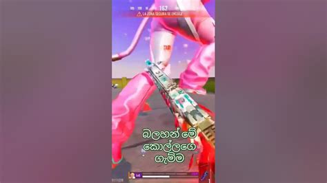 ගහනව නෙවෙයි මරාගෙන කනව 😂😜😜 Youtube