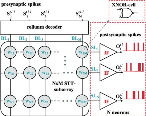 Bsnn Architecture For Intra Layer Processing Using An Xnor Cell Array Download Scientific Diagram
