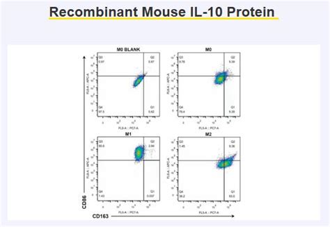 Abclonal Technology Europe On Linkedin Abclonal Macrophagecytokines Researchboost