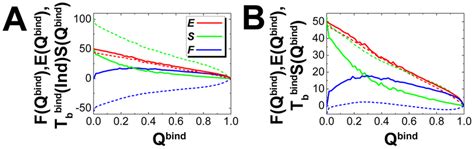 The Energy Entropy And Free Energy Of Rigid And Flexible Binding For Download Scientific