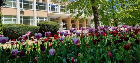 Община град Добрич