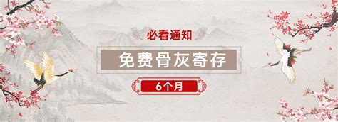 泰康 竹茶园