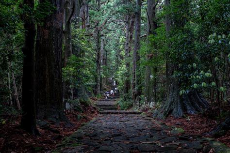 大門坂 GANREF