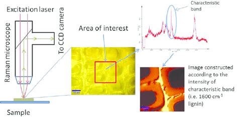Schematic Diagram Of A Raman Microscope And The Basic Principle Of