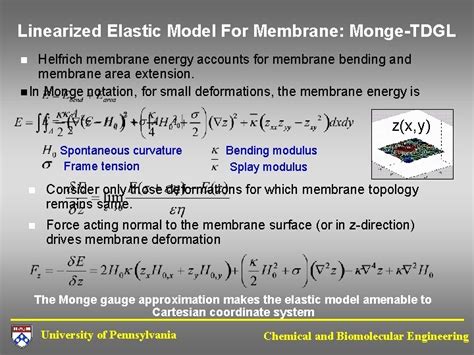 Thesis Project Proposal Multiscale Modeling Of Proteinmediated Membrane