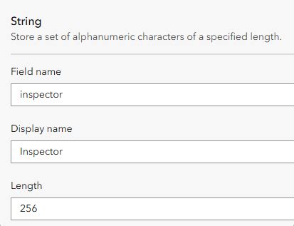 Inspect Assets With Oriented Images Documentation