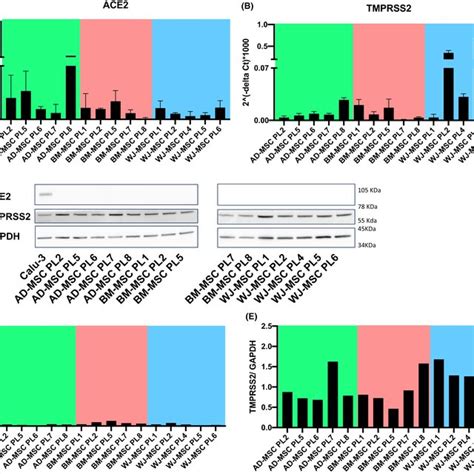 Heat Map Of Rna‐seq Transcriptome Analysis For 22 Selected Genes Log2