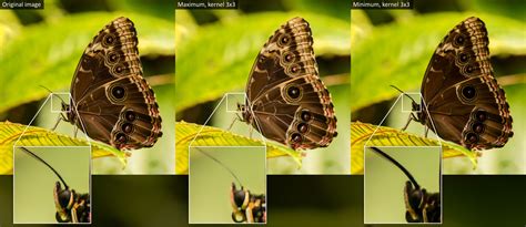 Convolution Filters 🟡 Learn Webgpu For C Documentation