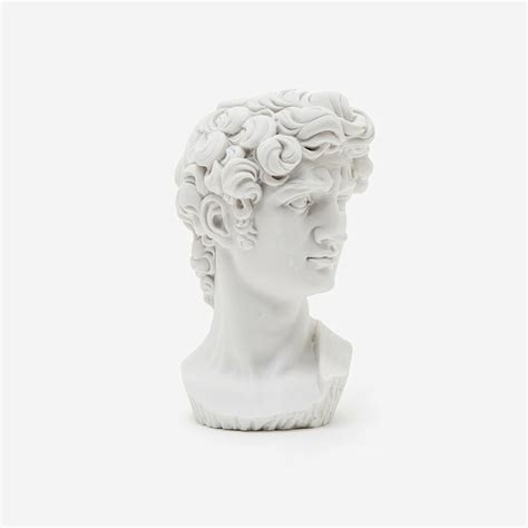 David Bust Shop Online Beculture