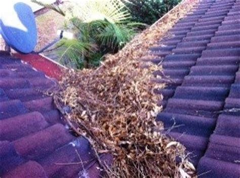 How To Install Gutter Guards And Save Time Gutter Cleaning DIY How To How To Install Gutter Guards And Save Time Gutter Cleaning DIY How To