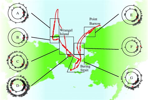 A Polar System Of Intercontinental Bird Migration Proceedings Of The Royal Society B