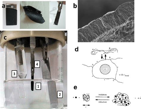 A Polypyrrole Film Electrogenerated On A Stainless Steel Electrode