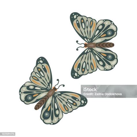 흰색 배경 벡터 일러스트레이션에 고립 된 아름답고 녹색 나비 세트 0명에 대한 스톡 벡터 아트 및 기타 이미지 0명 곤충