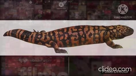 Band Geeks V6 Eporner