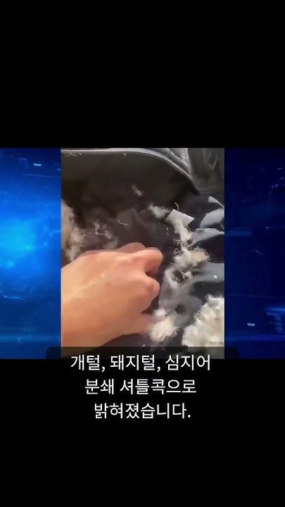 충격적인 쓰레기 분쇄 셔틀콕 패딩 이슈정보지식시사 Youtube