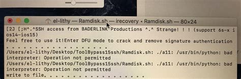 How I Fix Python Operation Not Permitted Rsetupapp