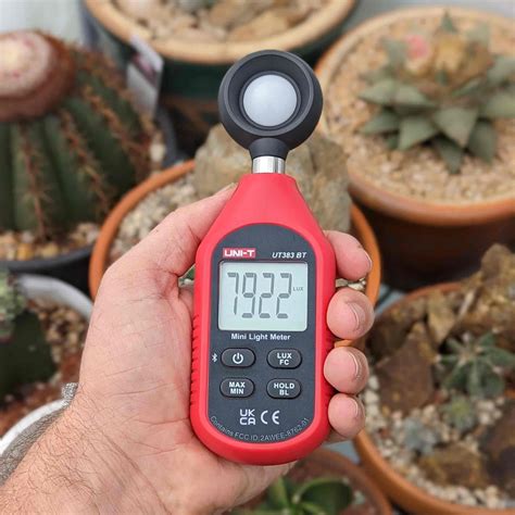 Cactus Seed Propagation Unit — Cactus Culture Australia