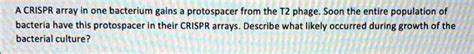 Solved A Crispr Array In One Bacterium Gains A Protospacer From The T2 Phage Soon The Entire