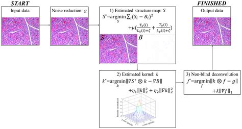 Investigation Of A Robust Blind Deconvolution Algorithm Using Extracted Structures In Light