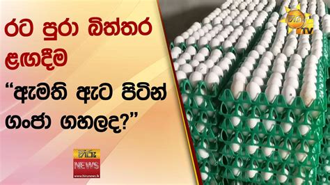 රට පුරා බිත්තර ළඟදීම ඇමති ඇට පිටින් ගංජා ගහලද Hiru News Youtube