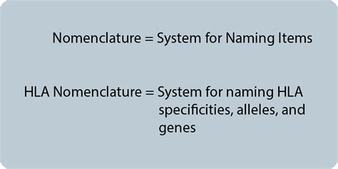 History Of HLA Nomenclature The S HLA Help