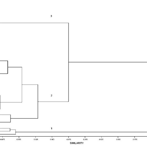 Dendrogram Obtained By A Cluster Analysis Based On Similarity Matrix