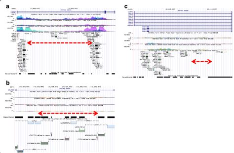 Genomic Location Of Three Cnvs The Genomic Locations Of Three Download Scientific Diagram