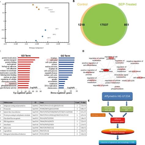 microarray analysis of differentially expressed genes a pca analysis