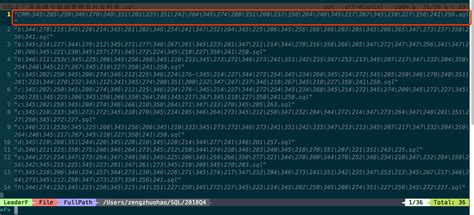 搜索中文名文件显示多字节字符问题 Issue Yggdroot LeaderF GitHub