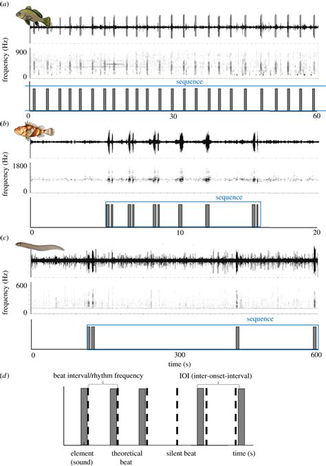 Waveform Spectrogram Hanning 256 50 Overlap And Bar Plot Of