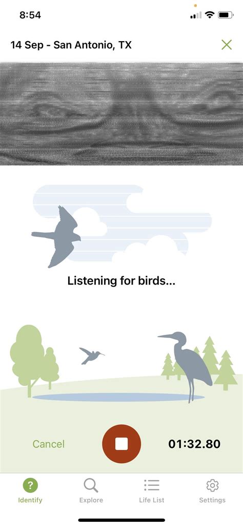 Using My Bird App Spectrogram To See Aphex Pictures R Aphextwin