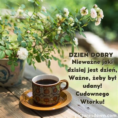 Kartki Na Wtorek Z Napisami Darmowe Obrazki Na Wtorek