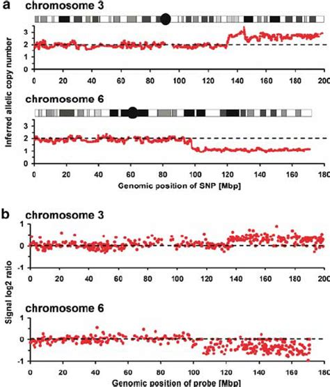 Genome Wide Loh Analysis In Jmml The Snp Array Preparation Is
