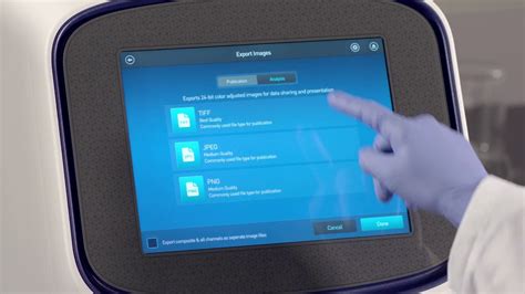 How To Export Images With Invitrogen Ibright Imaging Systems Youtube