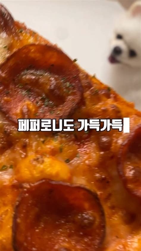 정두부두부둡 협찬 광고 ♥️ 청년피자 에서 호불호 없는 피자소개 피자추천 해주려고 클래식한 리얼페퍼로니 페퍼로니피자 먹어봤어요 쫄깃한도우 위에 페퍼