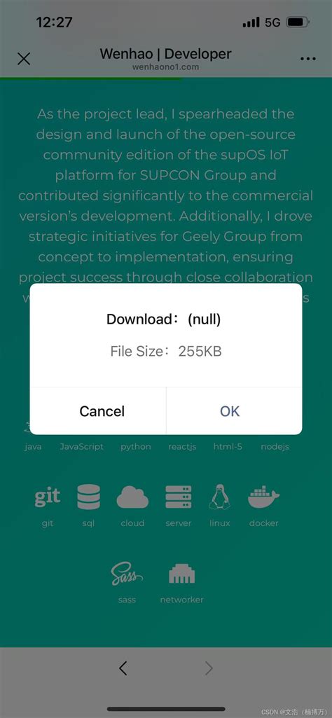 解决微信浏览器弹出 Download Null 问题的终极指南（附阿里云 Oss 配置详解）iframe下载文件 微信小程序浏览器标题为null Csdn博客