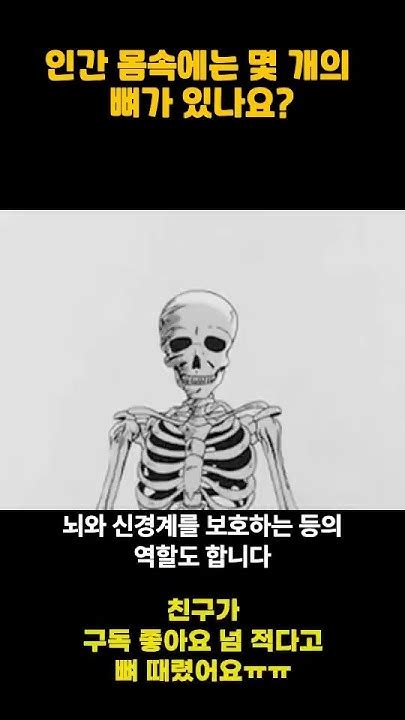 인간의 뼈는 몇 개 Youtube