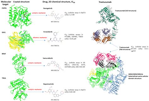 Ijms Free Full Text Evolution Of Treatment In Advanced Cholangiocarcinoma Old And New