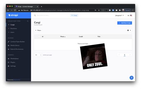 Create A Custom Backend For Jamstack Apps With Strapi