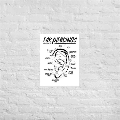 Ink Ear Piercing Chart Print Various Types Of Ear Piercings Poster Ear