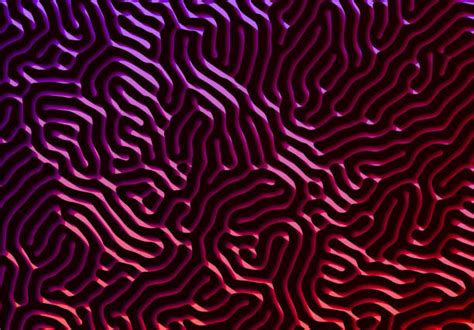 20 Cellular Automata Stock Illustrations Royalty Free Vector Graphics