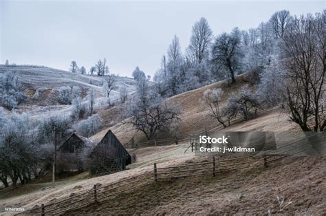겨울이 온다 흐리고 안개가 자욱한 아침 매우 늦은 가을 산 장면 평화로운 그림 같은 여행 계절 자연 및 시골 아름다움 컨셉 장면 카르파티아 산맥 우크라이나 0명에 대한 스톡